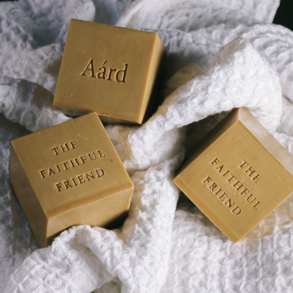 The Faithful Friend, Bundle - Aárd
